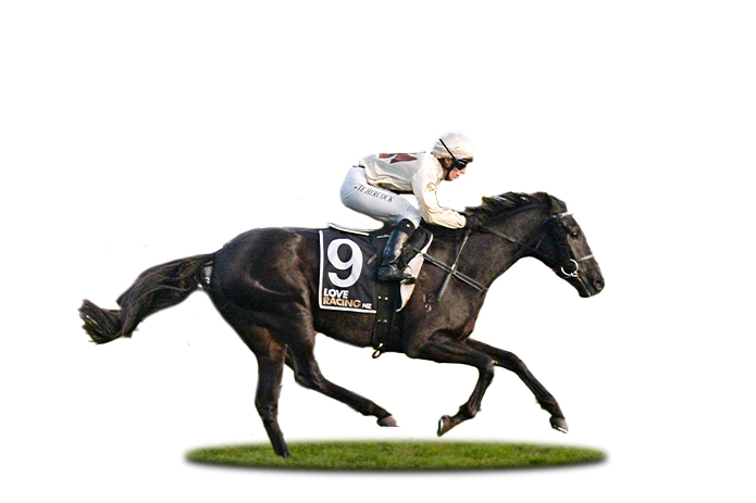 hide full overview here