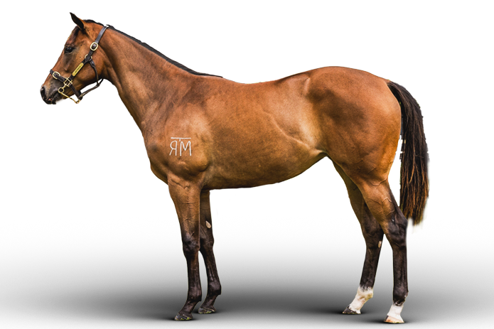 hide full overview here