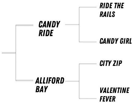 See full pedigree here