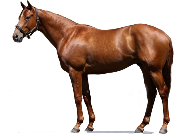 hide full overview here