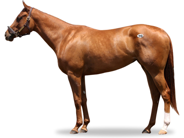 hide full overview here