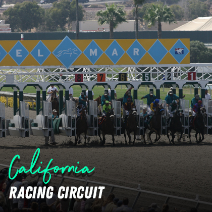 Speedy and sporty. Headed to the Golden State and trainer Dan Blacker ...