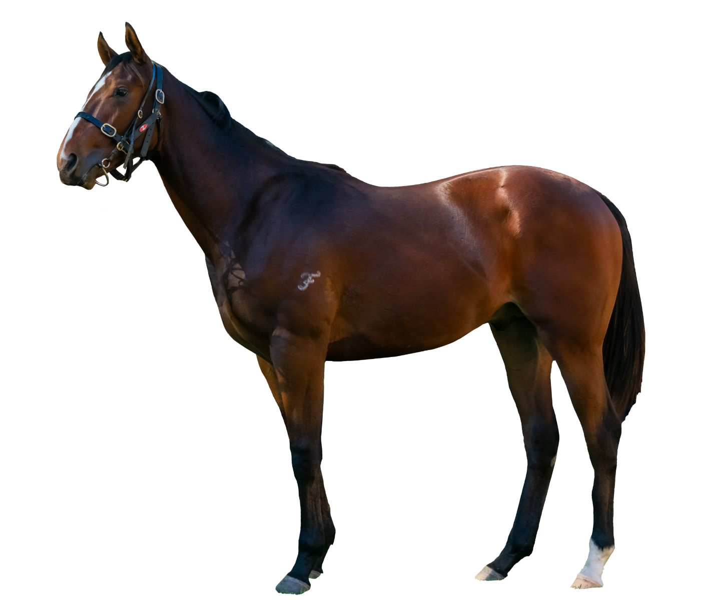 hide full overview here