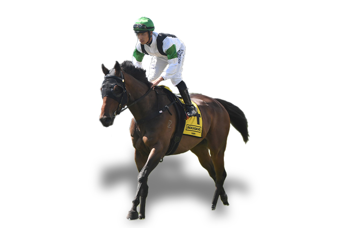 hide full overview here