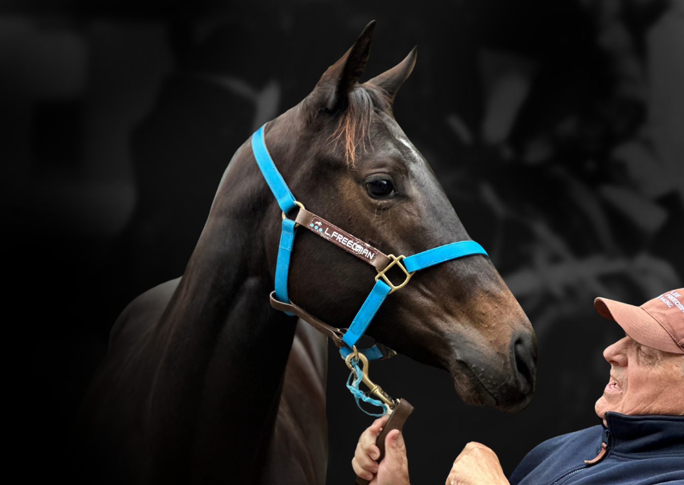 hide full overview here