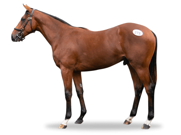 hide full overview here