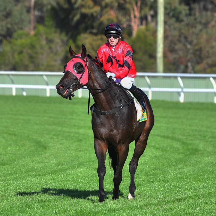 hide full overview here