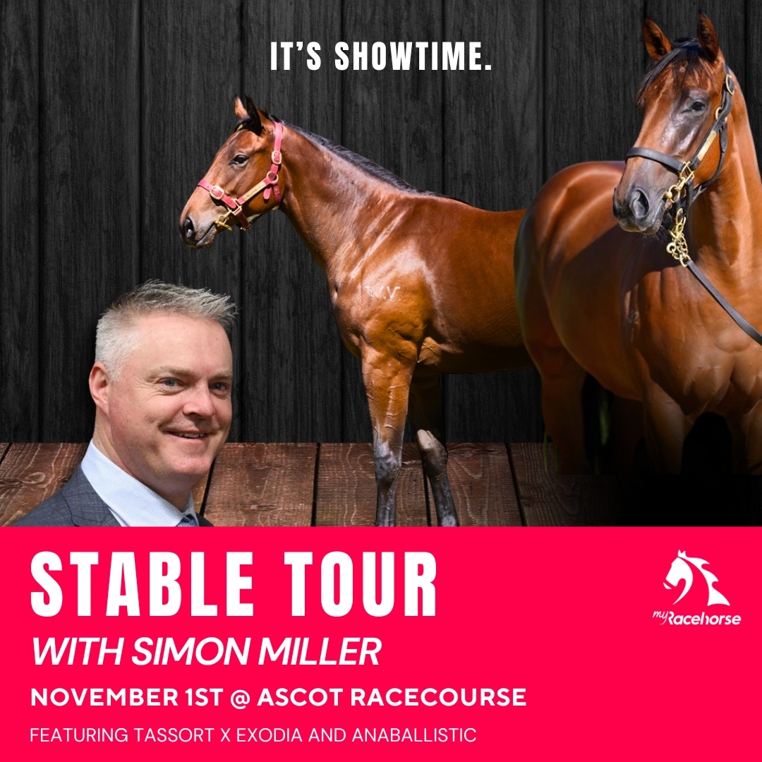 Simon Miller Stable Tour